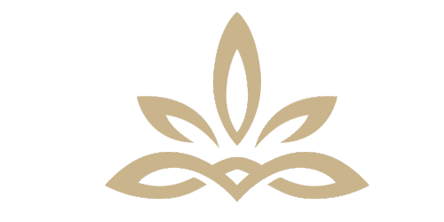 About | Elite Speed Academy